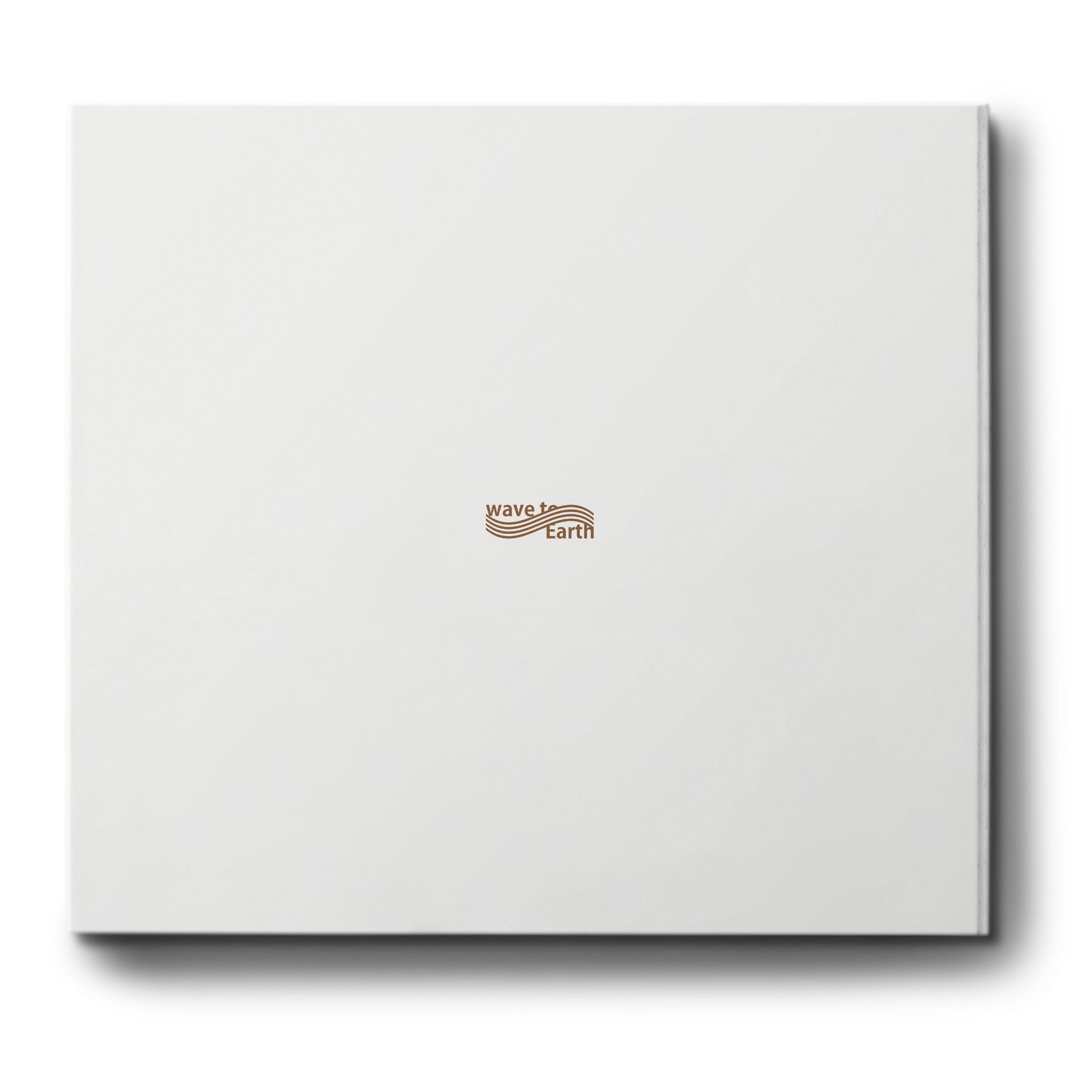 play with earth! 0.03 CD – wave to earth